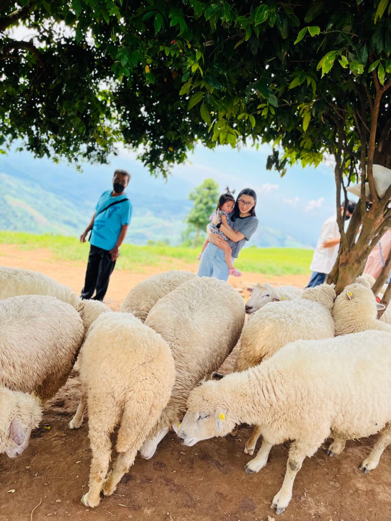 [บันทึกการเดินทางของอลิซ] Akha Farmville @ดอยช้าง จ.เชียงราย วันหยุดที่ ...