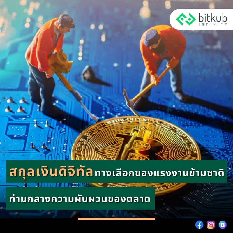 [Bitkub Infinity] #สกุลเงินดิจิทัล ทางเลือกของแรงงานข้ามชาติ ท่ามกลางความผันผวนของสกุลเงิน ...