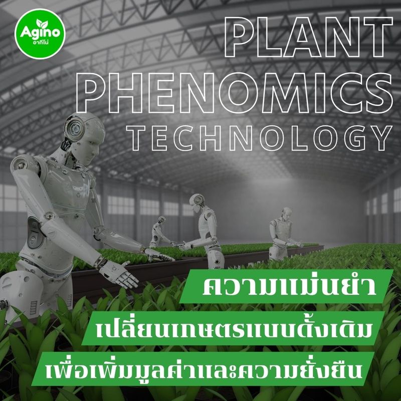 [Agino Thailand] ความแม่นยำในการผลิตพืช การขาดแคลนอาหารของประชากรโลกมี ...