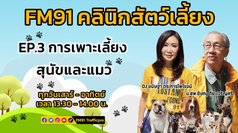 [FM91 Trafficpro] การเพาะเลี้ยงสุนัข และแมว EP.3 : FM91 คลินิกสัตว์เลี้ยง สัมภาษณ์ นายสัตวแพทย์ ...