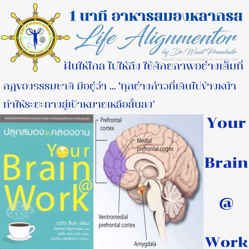 [3 ม พรหมบุตร] ‘Your Brain @ Work’ By Dr.David Rock ดร.เดวิด ร็อค (Dr.David Rock) กล่าวถึงผลจาก ...
