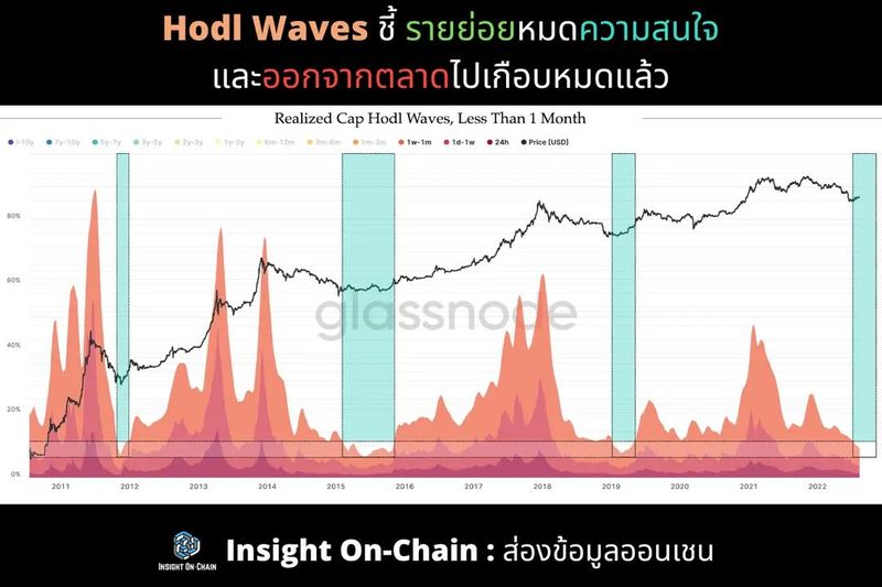 [Insight On-Chain : ส่องข้อมูลออนเชน] 🌊 Realized Cap Hodl Waves ชี้ ราคามักสร้างจุดต่ำสุดหลังราย ...