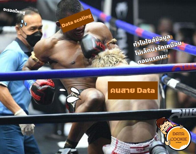 [Datacookie] #มวยคู่เอกคนสายDataปะทะDataScaling 🤼😅 เคส #ข้อมูลเพิ่มขนาด หรือ Scale เพื่มขึ้น ...
