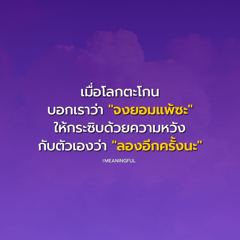 THE MEANINGFUL THE MEANINGFUL