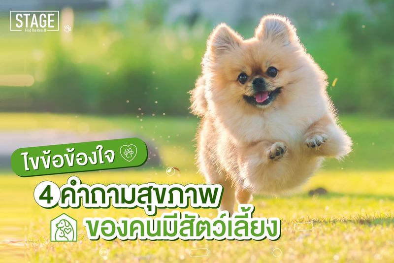 [Stage Find The Real U] ไขข้อข้องใจ 4 คำถามสุขภาพของคนมีสัตว์เลี้ยง ...