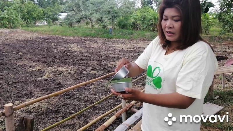 [Everythinghobby] DIY ไอเดียภาชนะวัสดุธรรมชาติ ถ้วย ชาม จาน ใบไม้ในท้องถิ่น สามารถผลิตขายเป็น ...