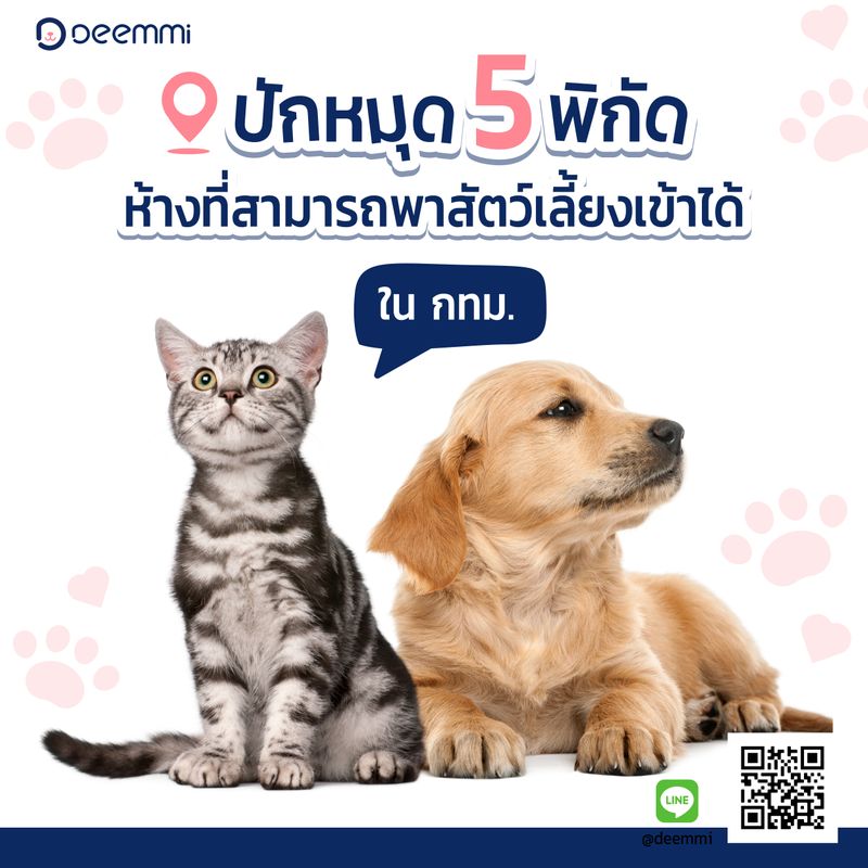 [Deemmi Pets] ปักหมุด 5 พิกัดห้างที่สามารถพาน้องหมาน้องแมวเข้าได้ มีเวลาว่างไม่อยากให้น้อง ๆ ...