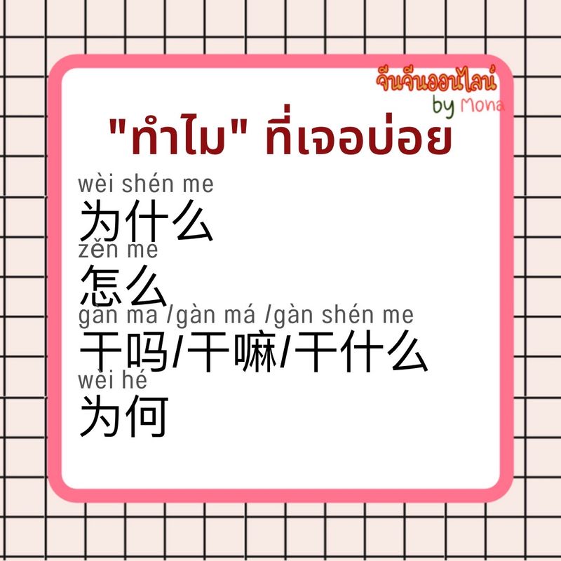 [จีนจีนออนไลน์ by Mona] 'ทำไม' ที่เจอบ่อย 为什么 wèi shén me 例：你知道为什么吗 ...