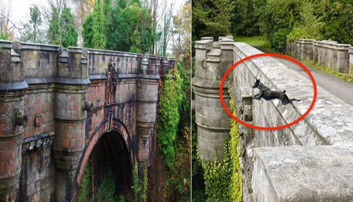 [รู้ไว้ก็ดี] Overtoun Bridge “สะพานสุสานสุนัข” สะพานเก่าโบราณลึกลับใน ...