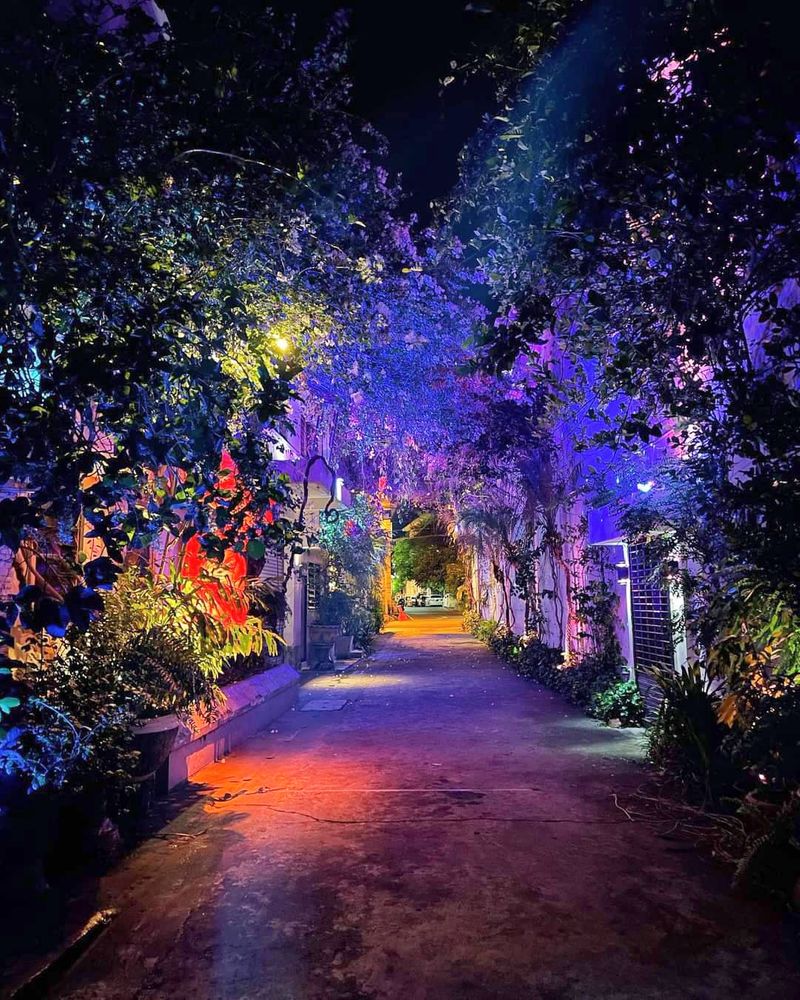 [Everythinghobby] “THE WALL AT SONGKHLA 2022” เริ่มแล้ววันนี้ ถึง 4 กันยายน 2565 เทศบาลนครสงขลา ...