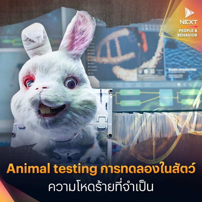 [NEXT by Nation] Animal testing การทดลองในสัตว์ ความโหดร้ายที่จำเป็น ...