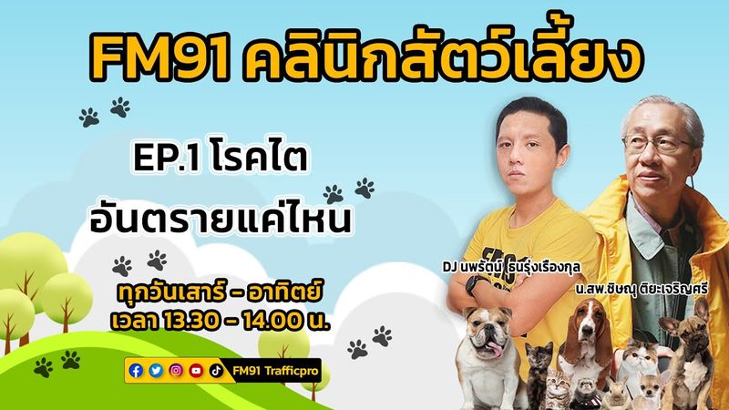 [FM91 Trafficpro] โรคไต อันตรายกับหมาแมวแค่ไหน EP.1 : FM91 คลินิกสัตว์เลี้ยง สัมภาษณ์ นาย ...