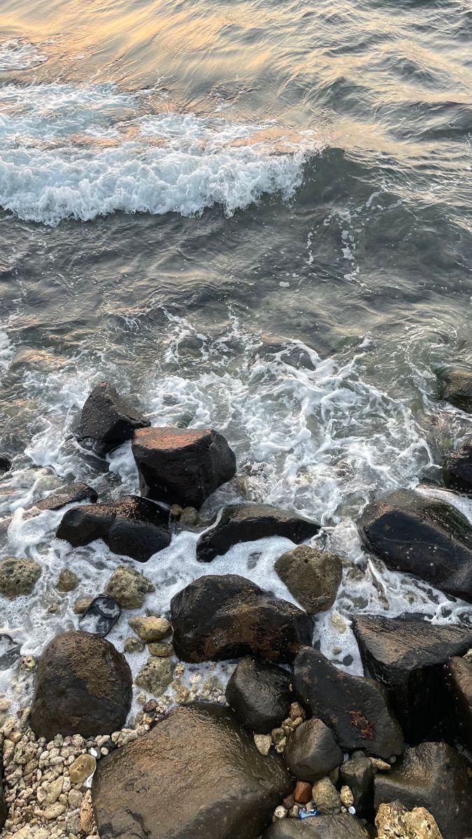 [Happy area] Blog 69 (3/9/65) chapter2