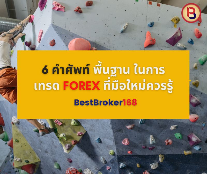 [Bestbroker168] 6 คำศัพท์ พื้นฐาน ในการเทรด Forex ที่มือใหม่ควรรู้ อ่านเพิ่มเติม : https ...