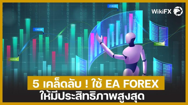 [WikiFX.TH] 5 เคล็ดลับ ! ใช้ EA FOREX ให้มีประสิทธิภาพสูงสุด อ่านข้อมูลเพิ่มเติมได้ที่ : https ...