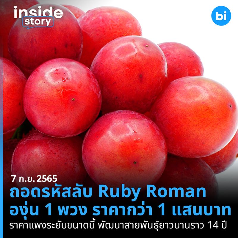 [Brand Inside] ถอดรหัสองุ่นสายพันธุ์ Ruby Roman องุ่นที่แพงที่สุดในโลก เมื่อใครได้สัมผัสต่างบอก ...