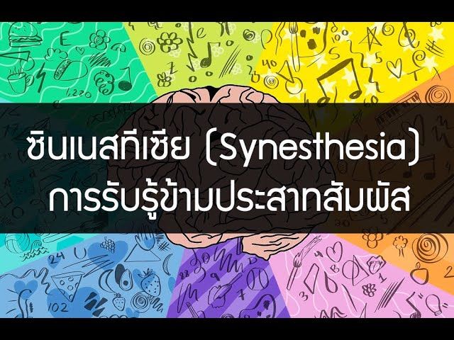 [อาจวรงค์ จันทมาศ] ซินเนสทีเซีย (Synesthesia) การรับรู้ข้ามประสาทสัมผัสคืออะไร? ซินเนสทีเซีย ...