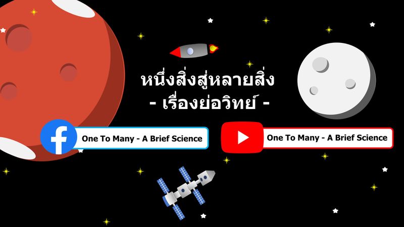 One To Many - A Brief Science