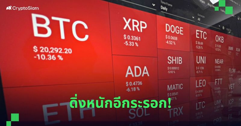 [CryptoSiam - ข่าว Crypto] ร่วงอีกแล้วพ่อ! ราคา Bitcoin ดิ่งหนัก ทรุด 9% วันเดียว ฉุดลงนรกทั้ง ...