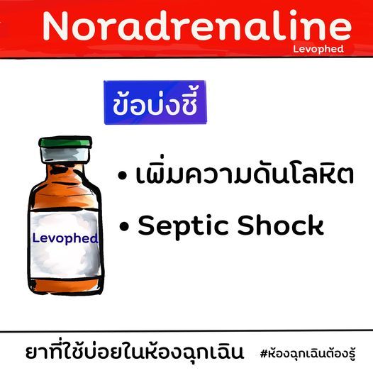 [ห้องฉุกเฉินต้องรู้] ยาที่ควรรู้ในห้องฉุกเฉิน (รูปที่2) Noradrenaline ...