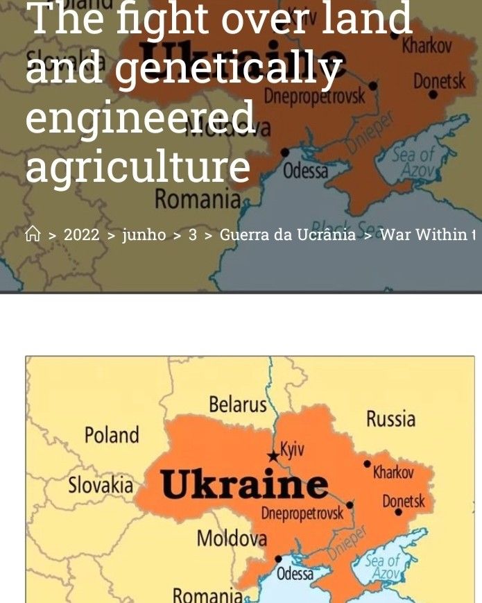 [Everythinghobby] มอนซาโต้ IMF GMO seeds War Within the War: The fight ...