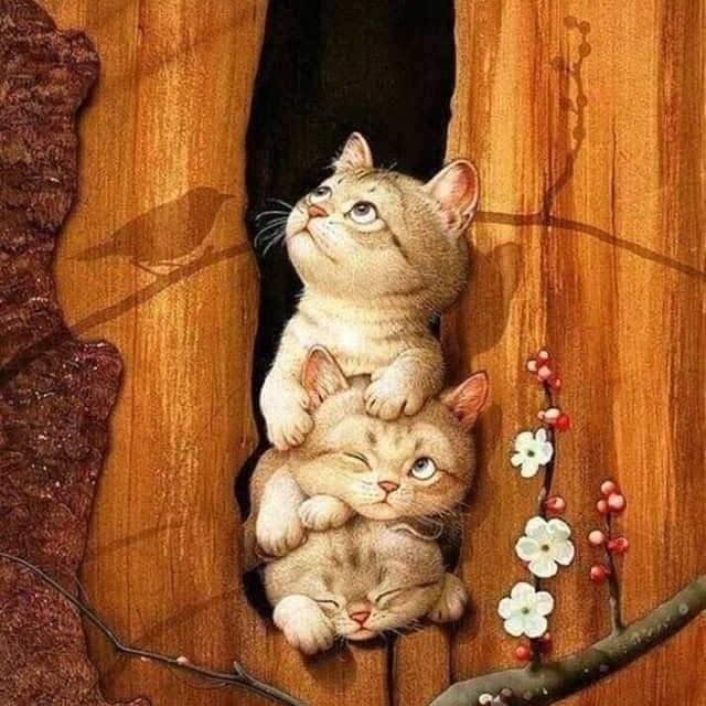 [Yoniso] ️.. #เพราะความรู้สึกในใจของเรานั้น บอกความจริง.เ ร า อ ยู่ เ ส ...