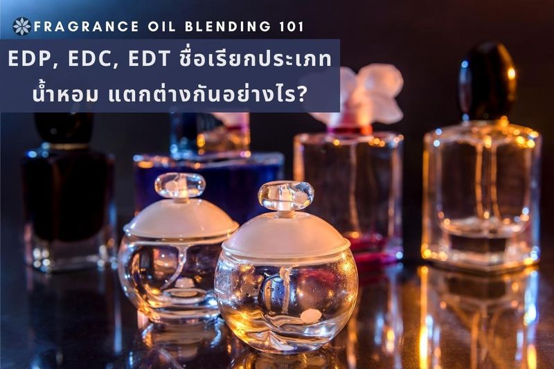 [Parfumscent] 💡| Fragrance Oil Blending 101|: EDP, EDC, EDT ชื่อเรียกประเภทน้ำหอม แตกต่างกัน ...