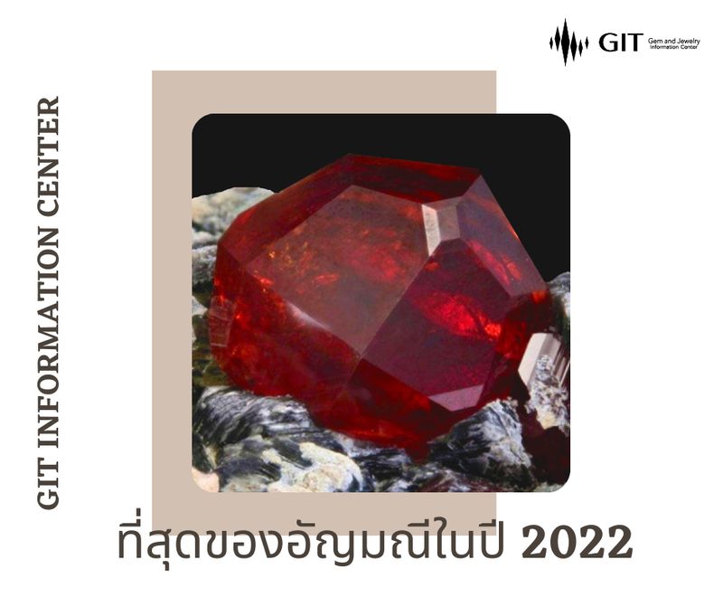 [GITInfocenter] ในปี 2022 แม้ว่าเศรษฐกิจของโลกจะผันผวนอยู่บ้าง แต่ตลาดโดยรวมก็เติบโตเพิ่มขึ้นจาก ...
