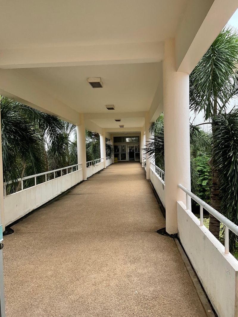 [Nayada] Blog72 โรคเบาหวาน https://www.bangkokpattayahospital.com//th/healthcare-services/dm-and ...