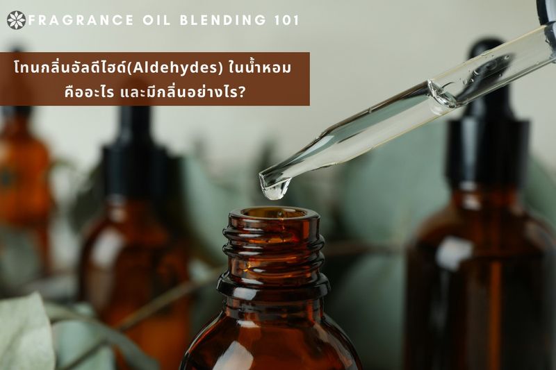 [Parfumscent] 💡| Fragrance Oil Blending 101|: โทนกลิ่นอัลดีไฮด์(Aldehydes) ในน้ำหอม คืออะไร และ ...