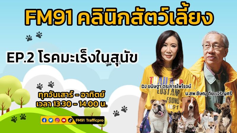 [FM91 Trafficpro] โรคมะเร็งในสุนัข EP.2 : FM91 คลินิกสัตว์เลี้ยง สัมภาษณ์ นายสัตวแพทย์ชิษณุ ติยะ ...