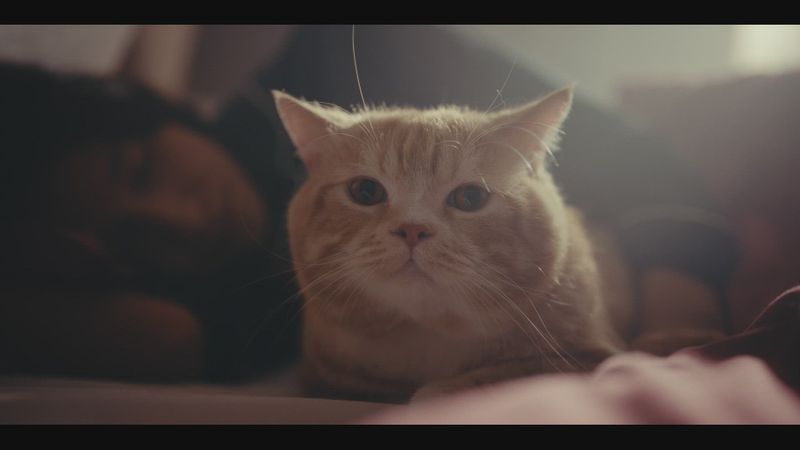 [DDproperty by PropertyGuru] DDproperty by PropertyGuru แพลตฟอร์ม ...