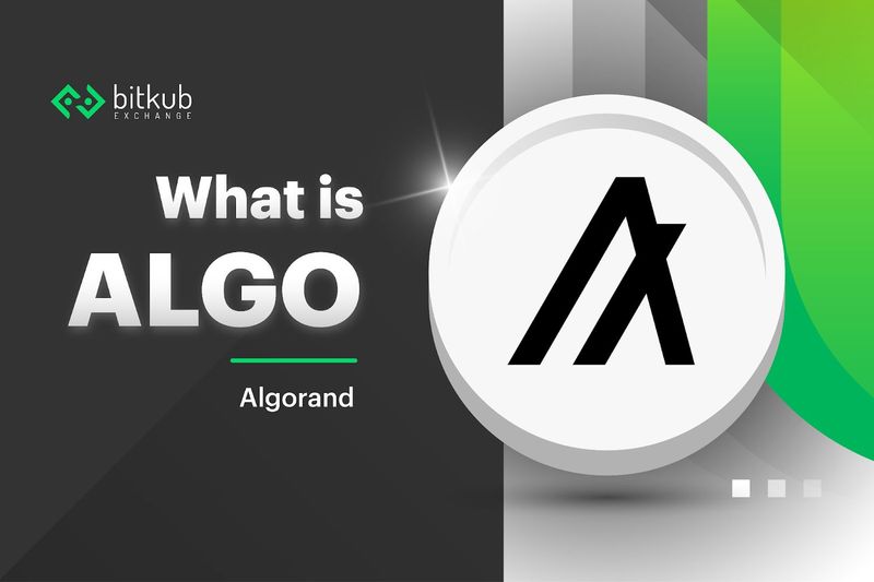 [Bitkub.com] รู้จัก Algorand (ALGO) เหรียญที่มาแก้ปัญหา Blockchain ...