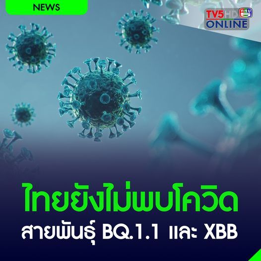 [TV5HD Online] อธิบดีกรมวิทยาศาสตร์การแพทย์ เผยไทยยังไม่พบสายพันธุ์ BQ.1.1 และ XBB รวมทั้งไม่มี ...