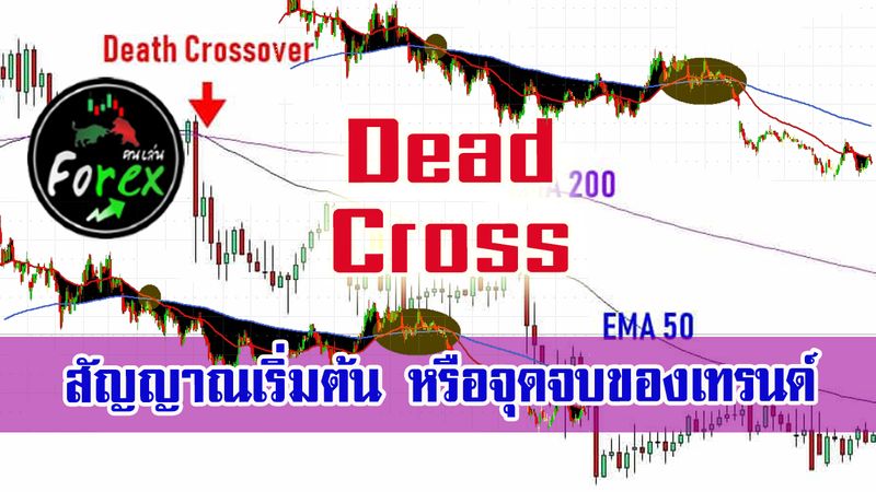 [TanOfficial] Dead Cross สัญญาณเริ่มต้น หรือจุดจบของเทรนด์ Dead Cross ...