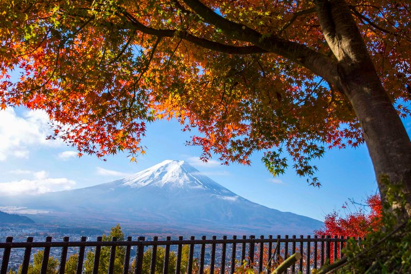 [iYuk Limited] Fuji Mountain Autumn Season