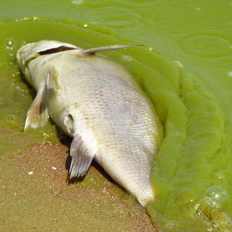 [Want2gohome BCNU ³] Blog 26 ฉลาม 11/10/2565