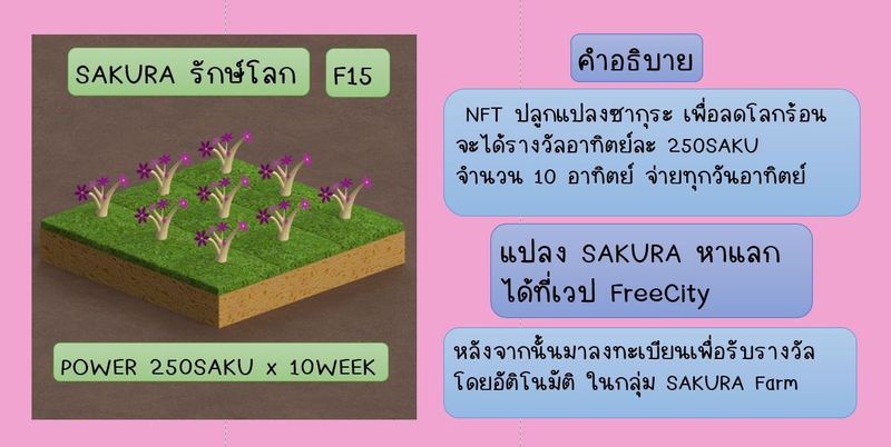 [Gaokub NFTs World] 🌱 NFT SAKURA Farm ปลูก SAKURA รักษ์โลก รับเหรียญ #SAKU 🪙 เปิดขายแล้ว on Free ...