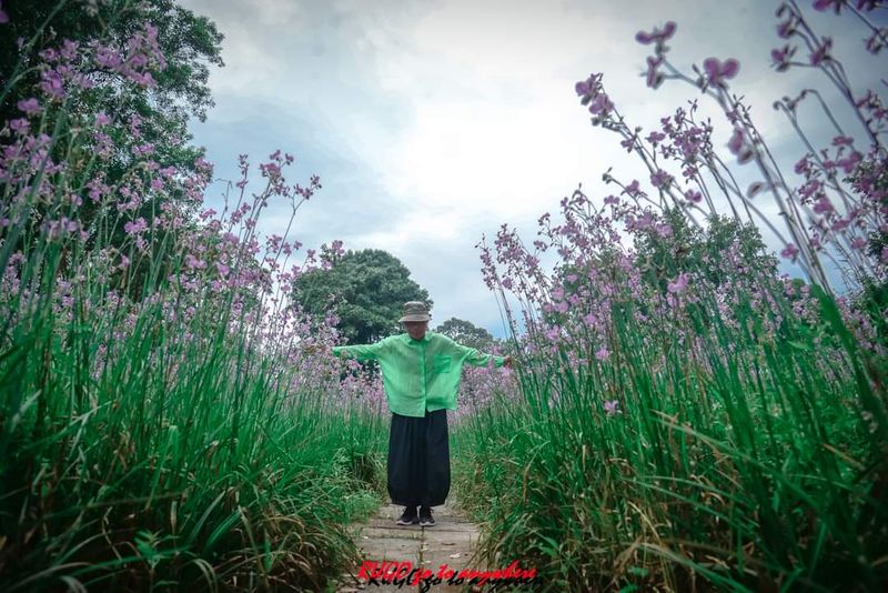 [rugo go to anywhere ] #ทุ่งดอกหงอนนาค