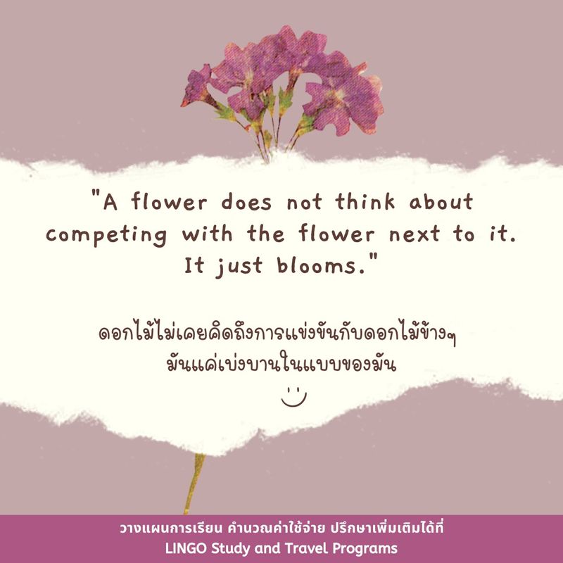 [Bilingo Study and Travel Programs] ดอกไม้มันไม่ได้บานแข่งกับใคร หรืออวดว่าใครสวยกว่ากัน แต่มัน ...