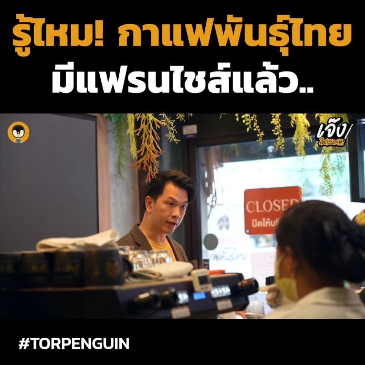 [Torpenguin - ผู้ชายขายบริการ] รู้ไหม! ‘กาแฟพันธุ์ไทย’ มีแฟรนไชส์แล้ว เจ๊งในกระดาษคลิปนี้ พาทุก ...