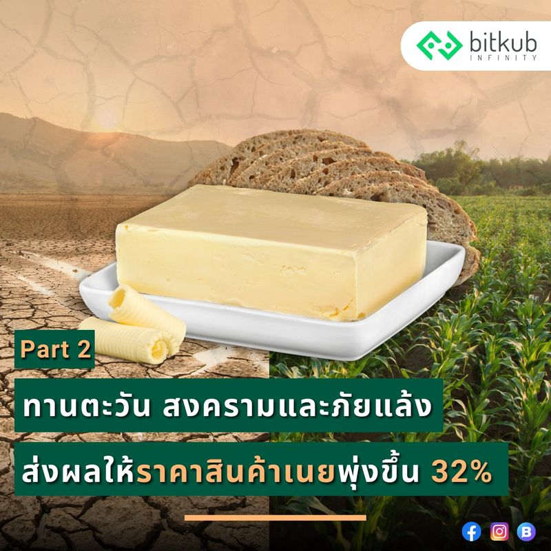 [Bitkub Infinity] #ทานตะวัน สงครามและภัยแล้ง สาเหตุวิกฤตราคาเนยและมาการีนพุ่งขึ้นถึง 32% (Part 2 ...