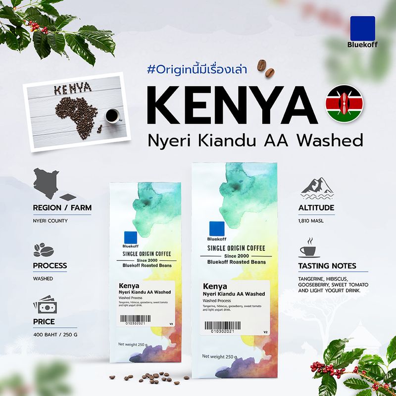 [Bluekoff] 𝗞𝗲𝗻𝘆𝗮 𝗡𝘆𝗲𝗿𝗶 𝗞𝗶𝗮𝗻𝗱𝘂 𝗔𝗔 𝗪𝗮𝘀𝗵𝗲𝗱 #Originนี้มีเรื่องเล่า วันนี้ ...