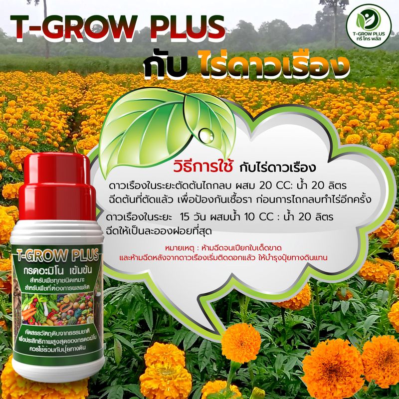 [T-GROW PLUS นวัตรกรรมด้านการเกษตร ]