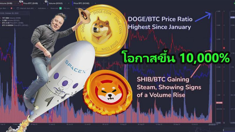 [SCOPE TV] Dogecoin DOGE และ Shiba Inu SHIB เหรียญมาแรงโอกาสขึ้นถึงดวงจันทร์ การเข้าซื้อกิจการ ...