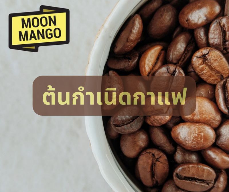 [MOON MANGO] มีตำนานมากมายเกี่ยวกับต้นกำเนิดของกาแฟ แต่ก็ไม่มีใครรู้แน่ ...