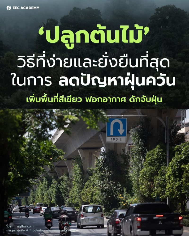 [EEC Academy] มากกว่าสีเขียวจากต้นไม้ ใบหญ้า แต่มีคุณค่าและความหมายต่อ ...