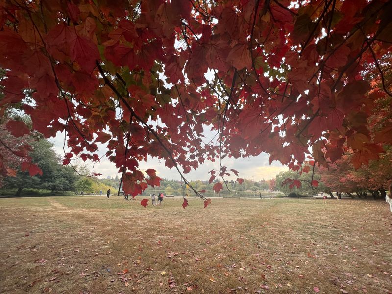 [JANJIRA NUENGJAK-IN] 🍁FALL FOLIAGE IN VANCOUVER🍁 บันทึก 30/10/2022