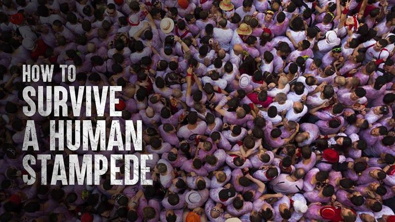 [Everythinghobby] รอดจากการเหยียบทับกันตายได้อย่างไร How to Survive a ...