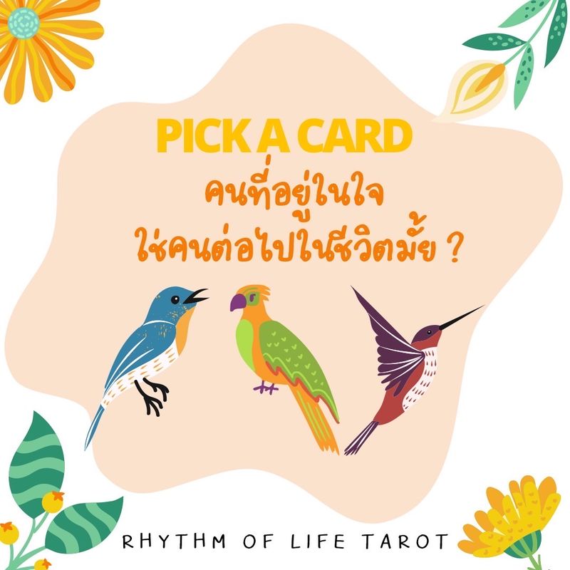 [Rhythm of life Tarot] 🔮🔮🔮 PICK A CARD 🔮🔮🔮 คนที่อยู่ในใจ ใช่คนต่อไปใน ...